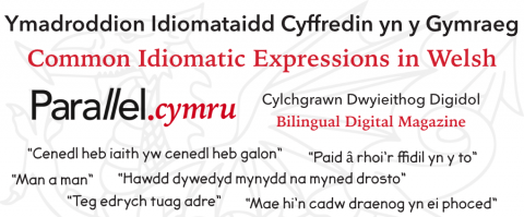 Ymadroddion Idiomau yn y Gymraeg / Common Idioms in Welsh – Parallel ...